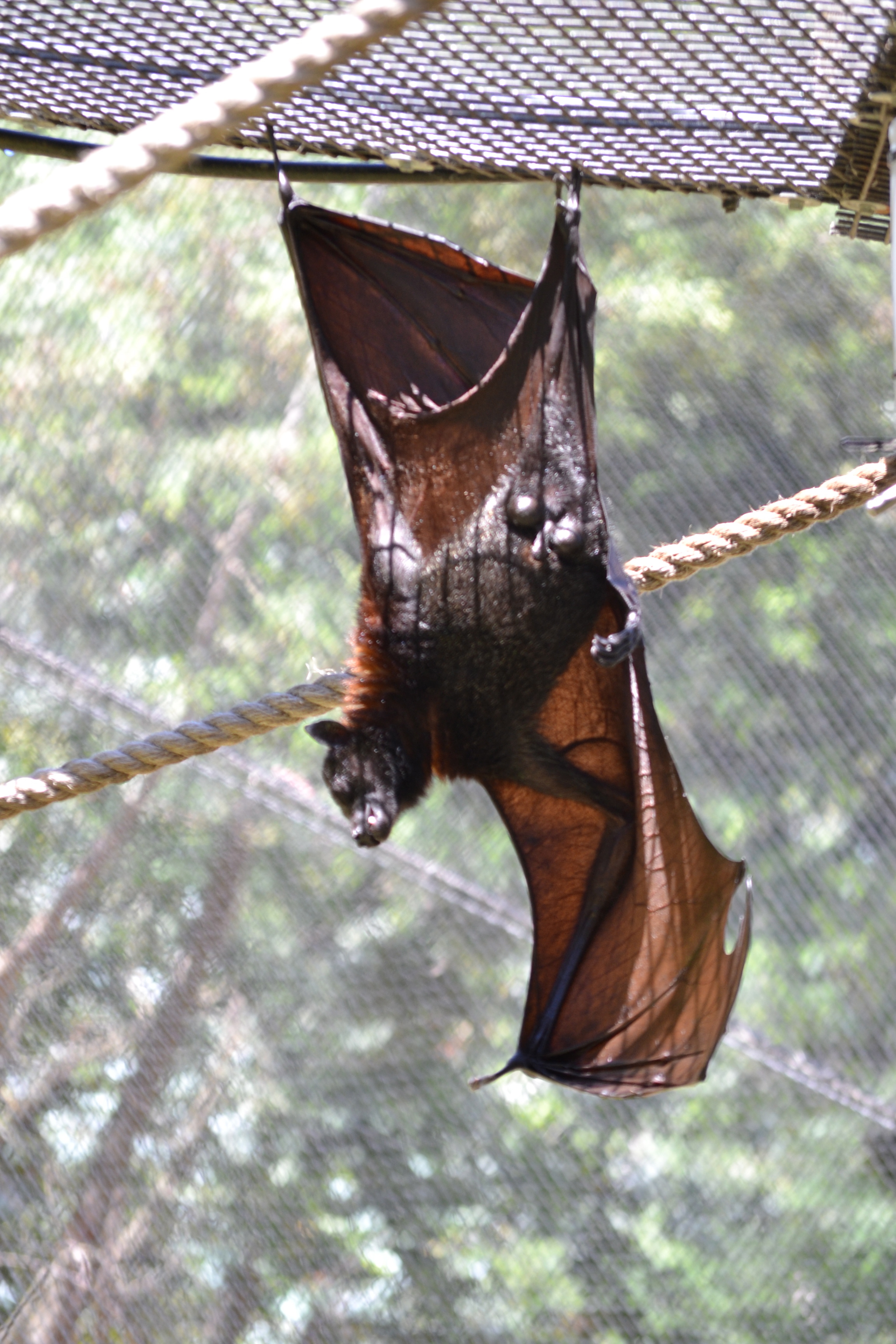 Dsc 0519 David B Cohen